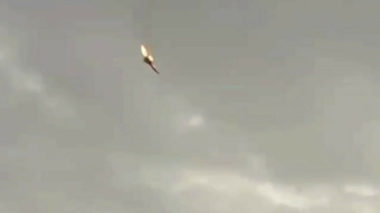 В районе Севастополя сбили военный самолет